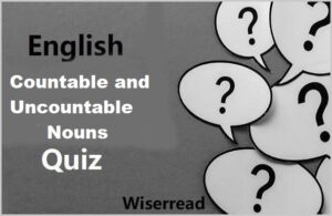 Countable and Uncountable Nouns Quiz (20 Questions)